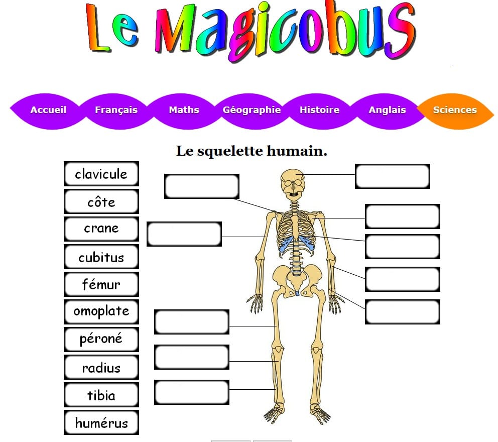 LE MONDE DU VIVANT – Jeuxtravaillenligne